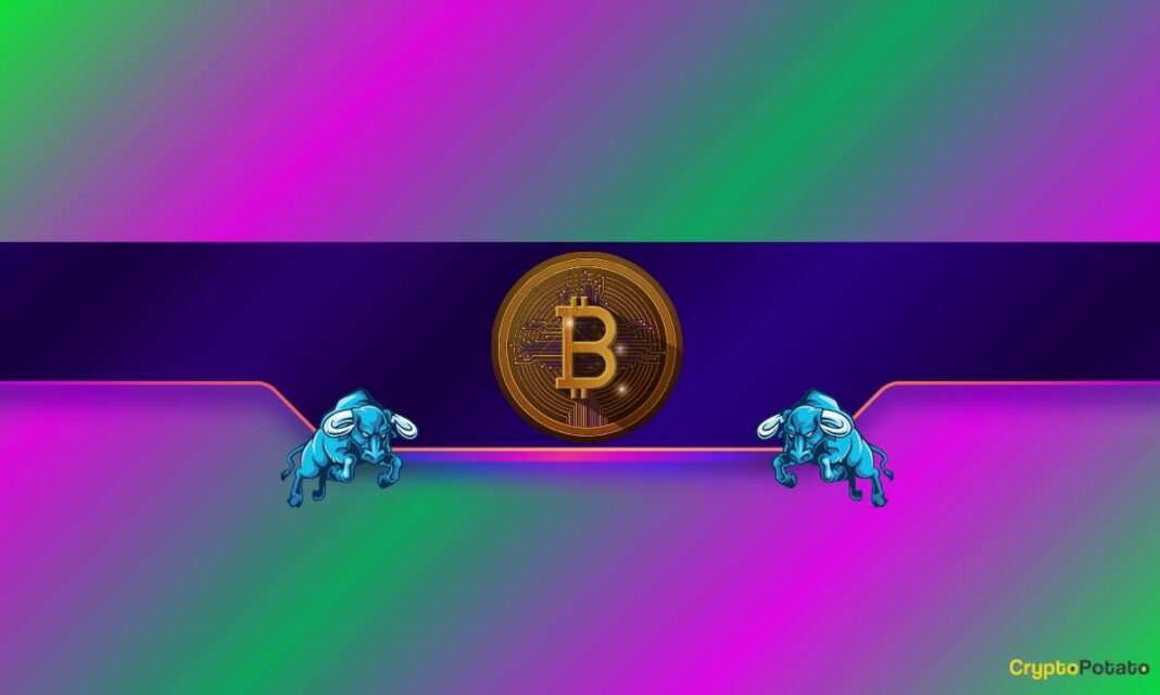 'Explosive Bounce' Incoming? What the RSI Signal Says About BTC's Next ...